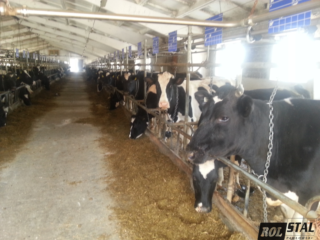 Livestock breeding systems | Rolstal.com