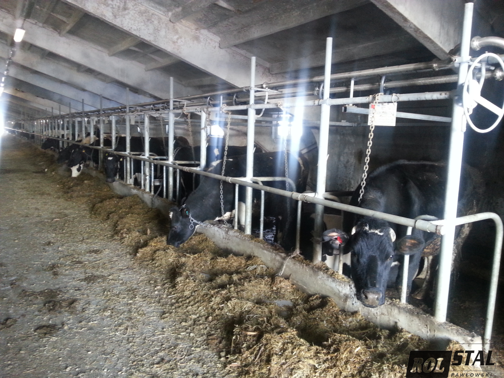 Livestock breeding systems | Rolstal.com