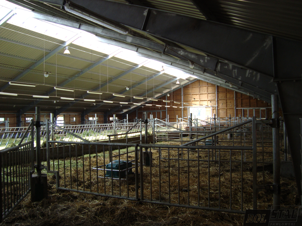 boxes for older cattle | Rolstal.com