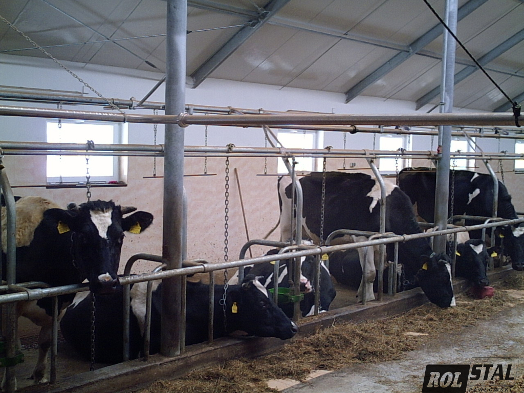 Systemy hodowli bydła | Rolstal.com