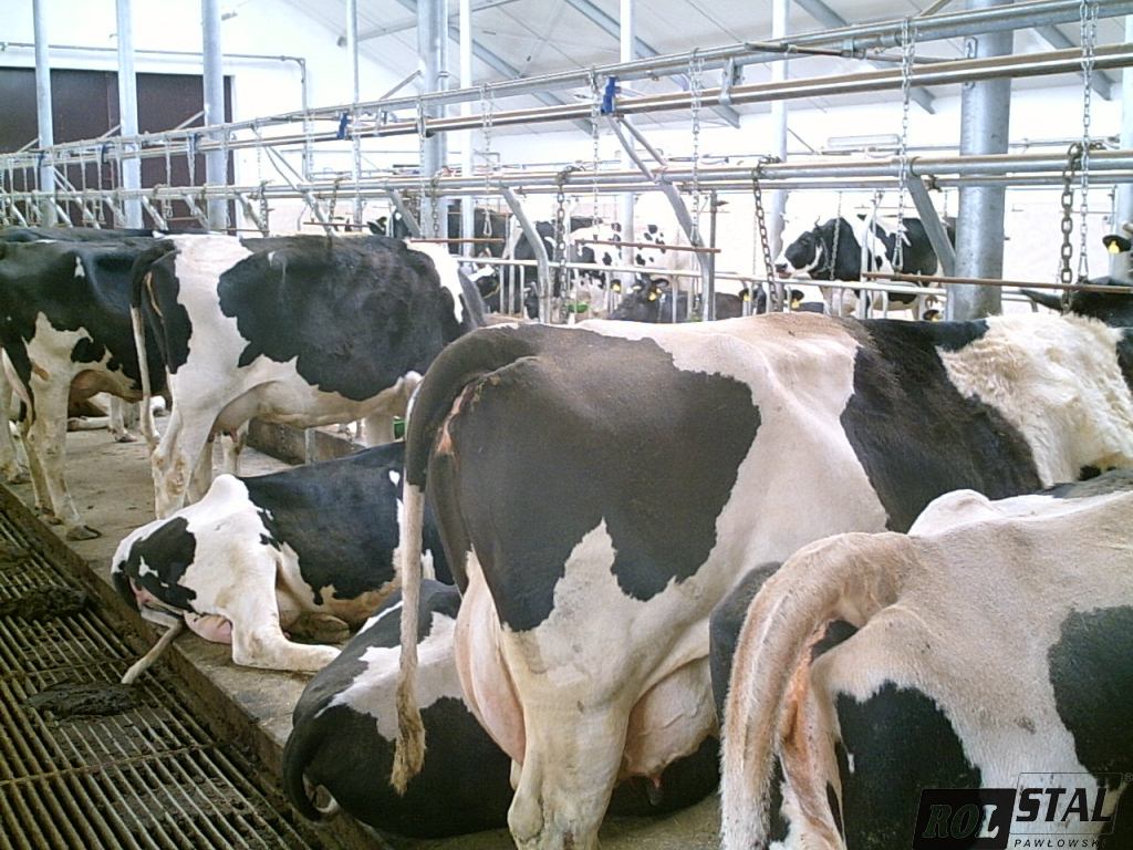 Livestock breeding systems | Rolstal.com