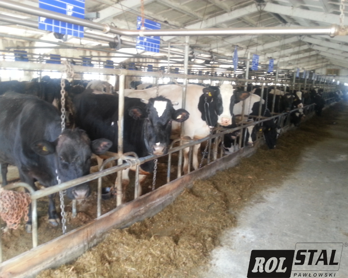 Livestock breeding systems | Rolstal.com