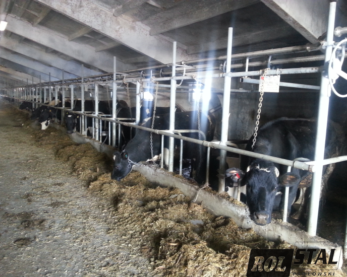 Livestock breeding systems | Rolstal.com