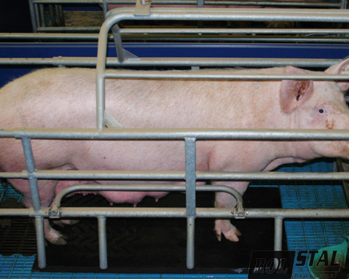 mats in farrowing cages | Rolstal.com